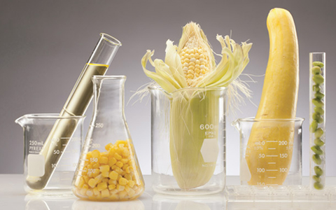 The List of All U.S. Colleges With a Food Science Major